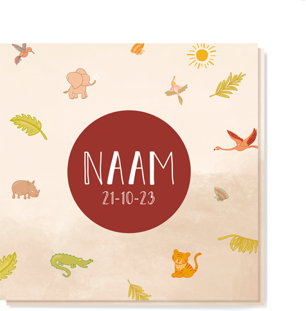 Unieke kaartjes | Liefs Jansje | Unieke en bijzondere geboortekaartjes