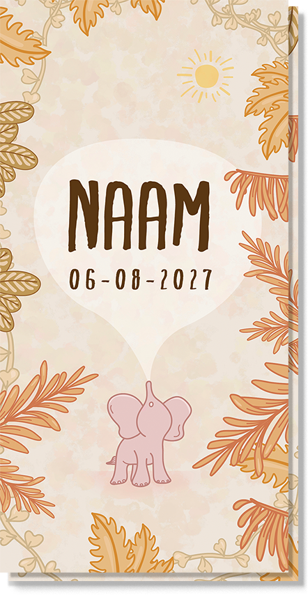 Unieke kaartjes | Liefs Jansje | Unieke en bijzondere geboortekaartjes